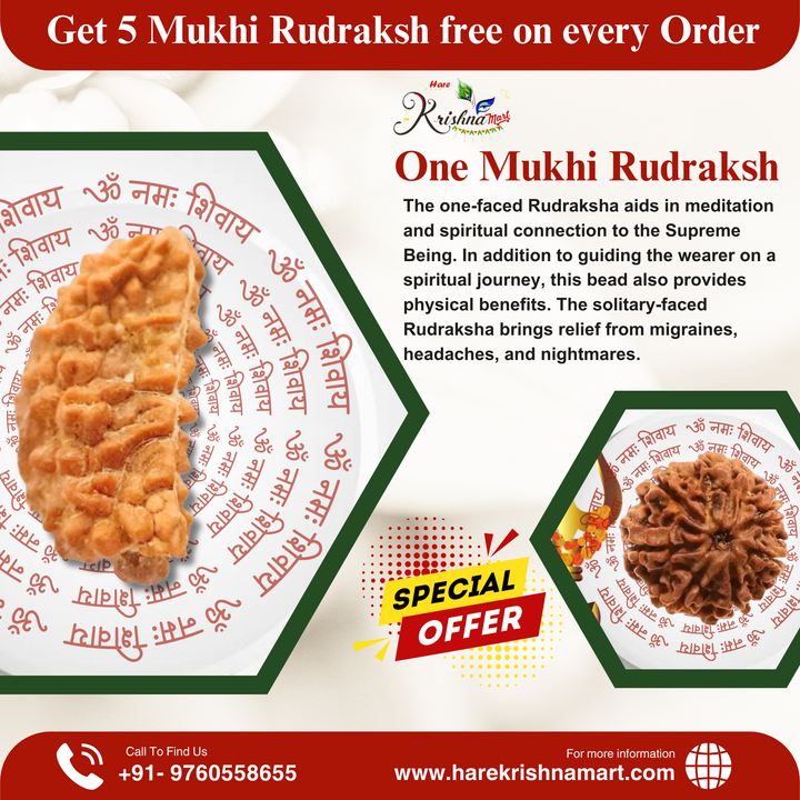 Buy Rudraksha Online: Original Rudraksha Beads | Hare Krishna Mart ...