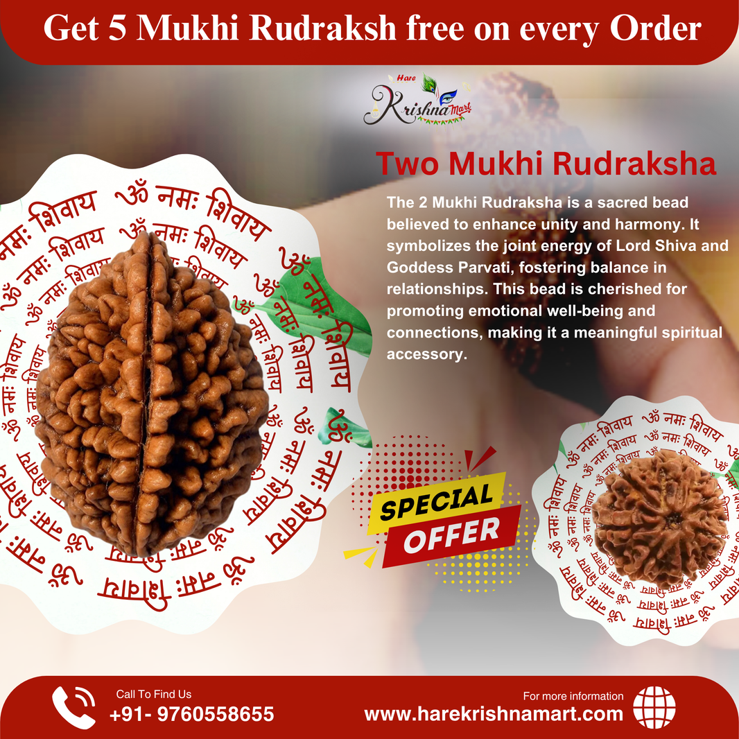 Buy Rudraksha Online: Original Rudraksha Beads | Hare Krishna Mart ...