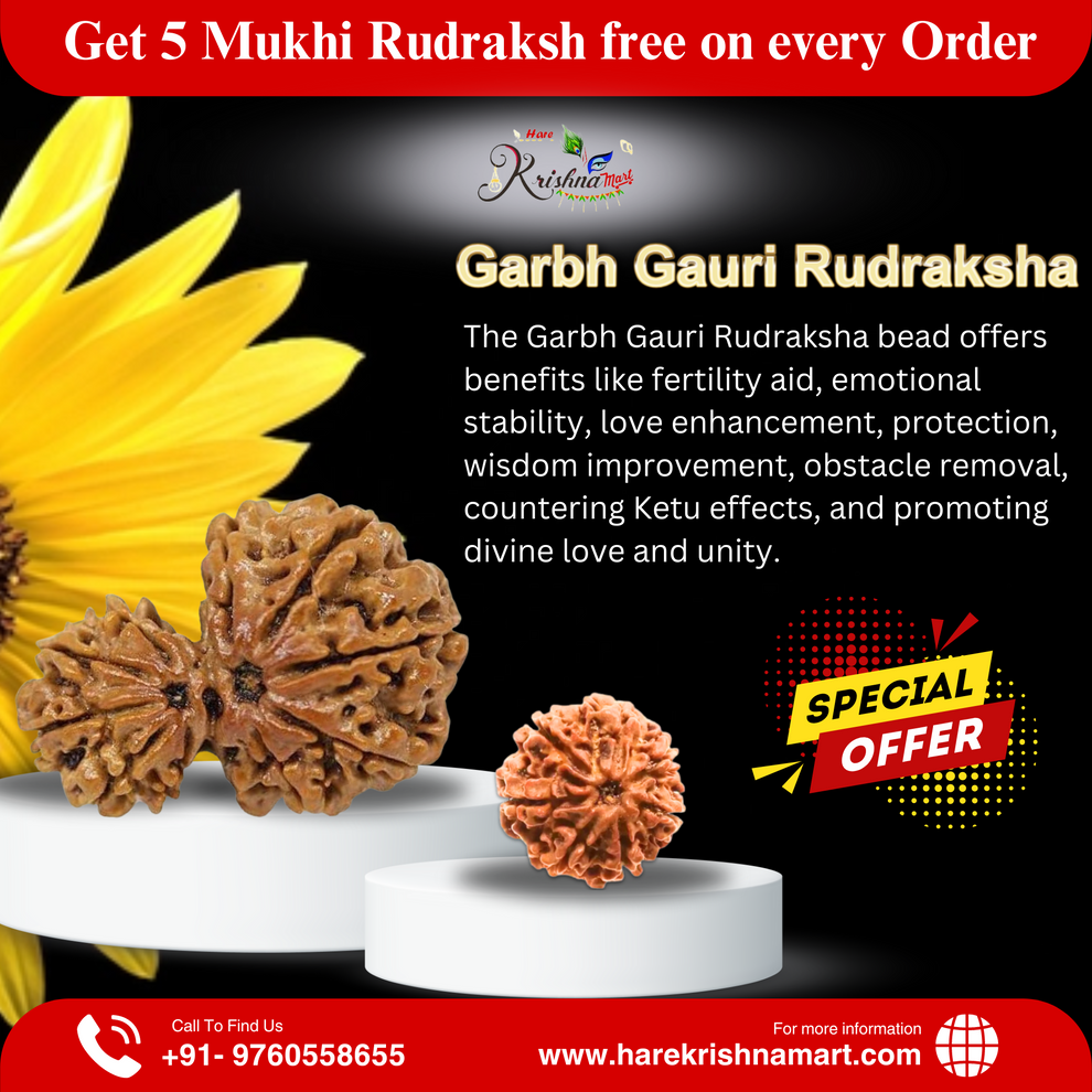 Garbh Gauri Rudraksha| Original Garbh Gauri Rudraksha Benefits and ...